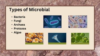 SOIL-CHEMISTRY-GROUP-...................... | PPT
