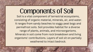 SOIL-CHEMISTRY-GROUP-...................... | PPTX