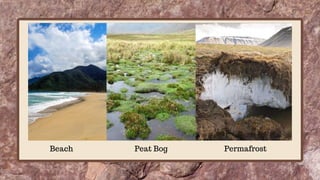 SOIL-CHEMISTRY-GROUP-...................... | PPT