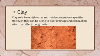 SOIL-CHEMISTRY-GROUP-...................... | PPT