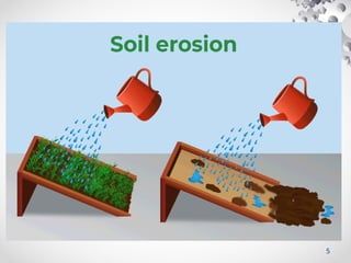 soil-erosion.pptx pls read this thank ii | PPTX | Medical Health