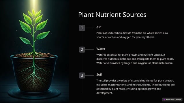 Soil-Fertility-and-Plants-Nutrition.pptx