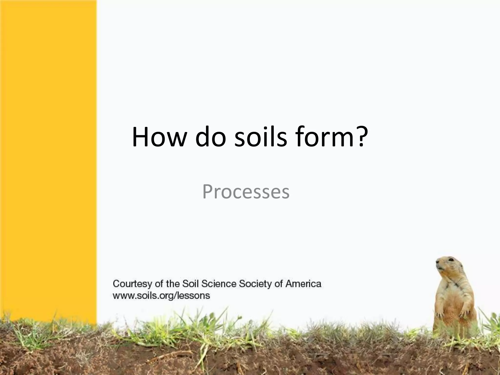 Soil formation-processes | PPTX