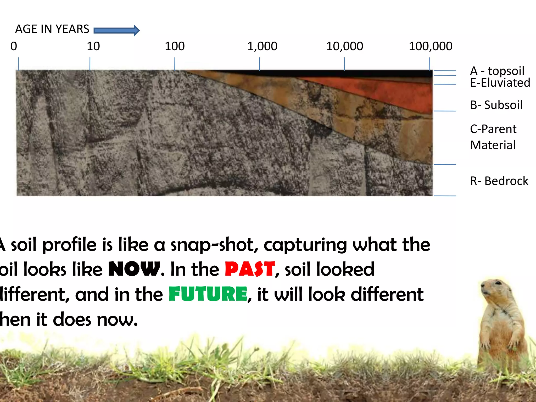 Soil formation-processes | PPTX