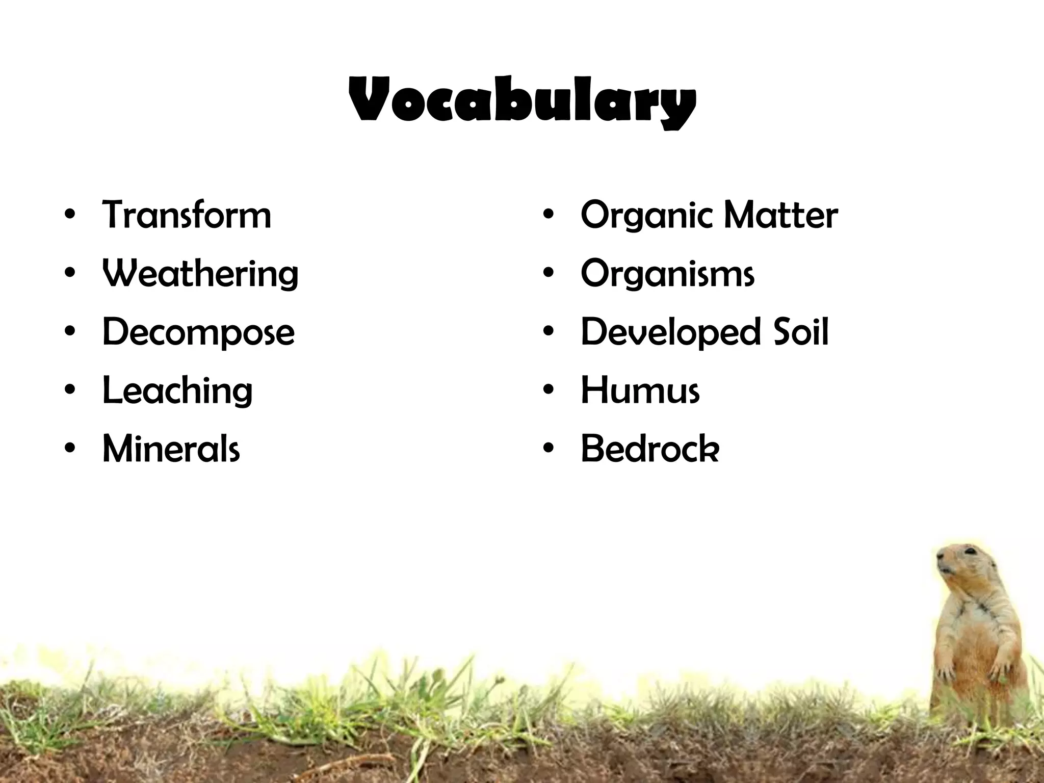 Soil formation-processes | PPTX