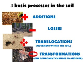 Soil formation-processes | PPTX