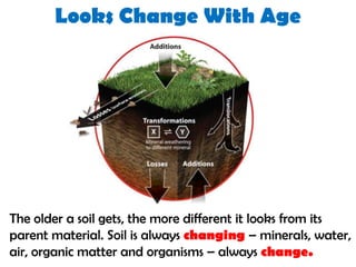 Soil formation-processes | PPTX