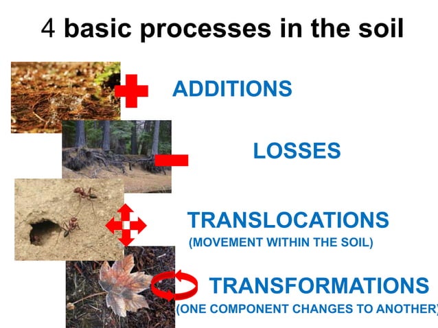 soil-formation-processes.pptx