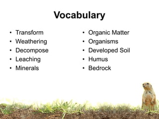 soil-formation-processes.pptx