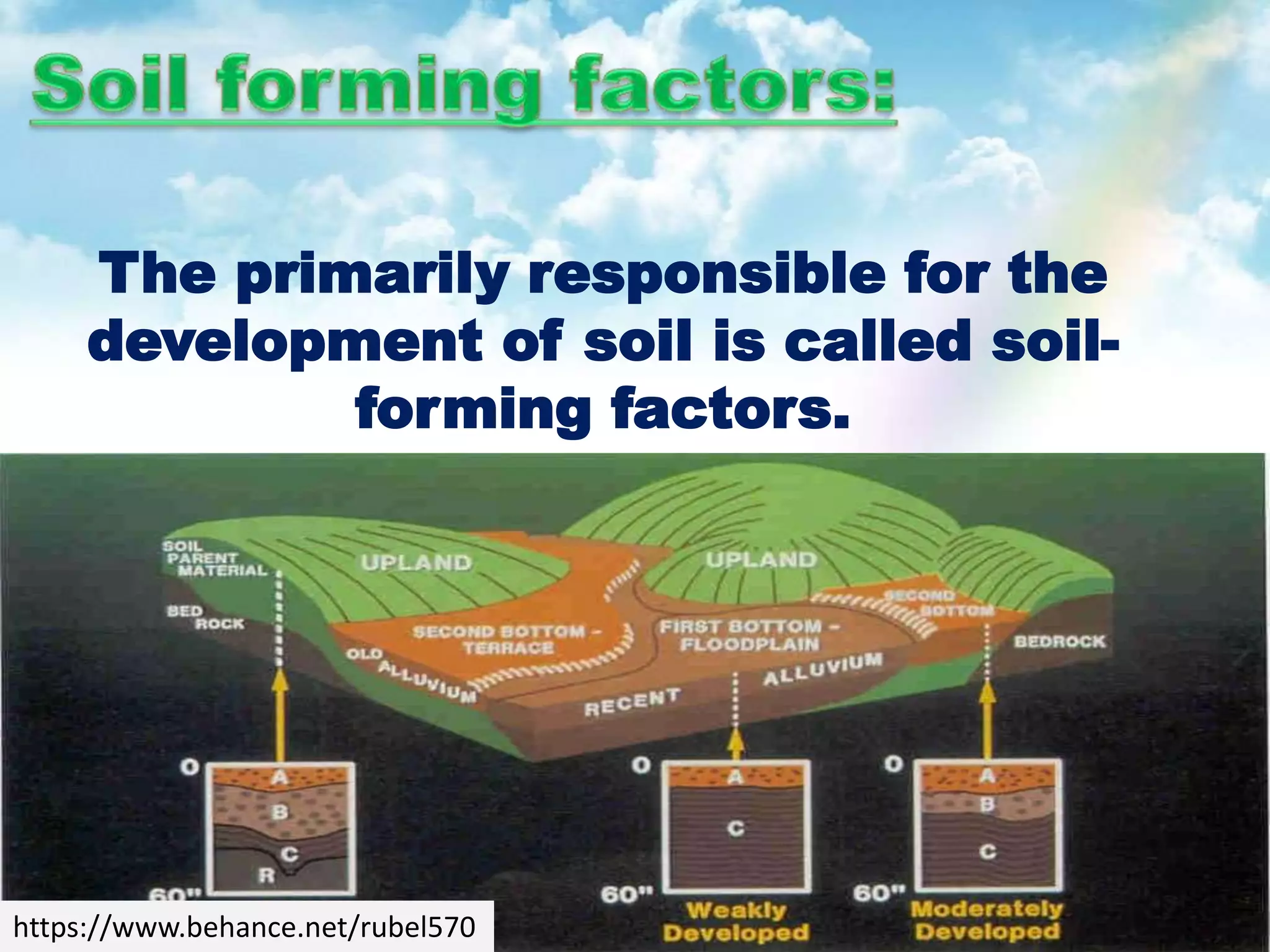 Soil forming factors | PPTX