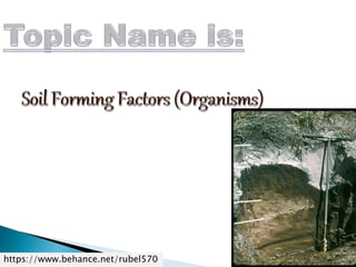 Soil forming factors | PPTX