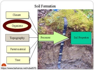 Soil forming factors | PPTX