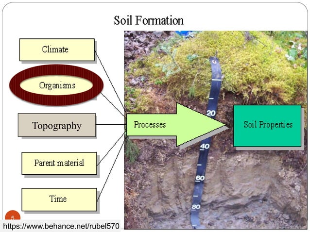 Soil forming factors | PPTX