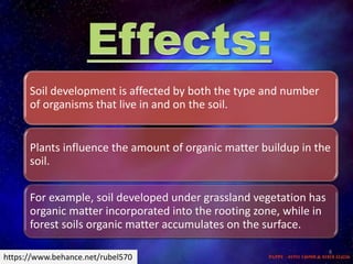 Soil forming factors | PPTX
