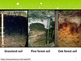 Soil forming factors | PPTX