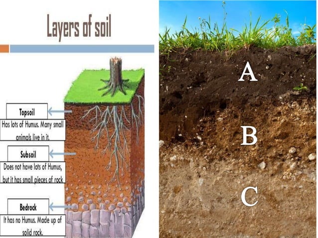 SOIL - GEOTECH REPORTING.pptx | Geology | Science