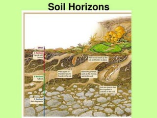 SOIL - GEOTECH REPORTING.pptx