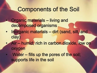 SOIL - GEOTECH REPORTING.pptx
