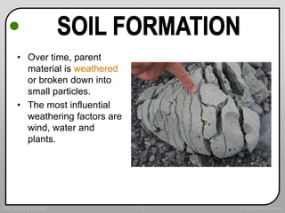 Soil intro-1 | PPT