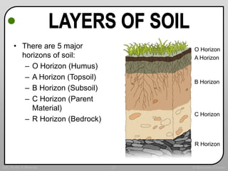 Soil intro-1 | PPT