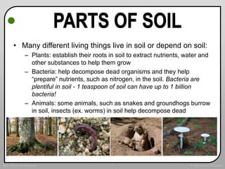 Soil intro-1 | PPT