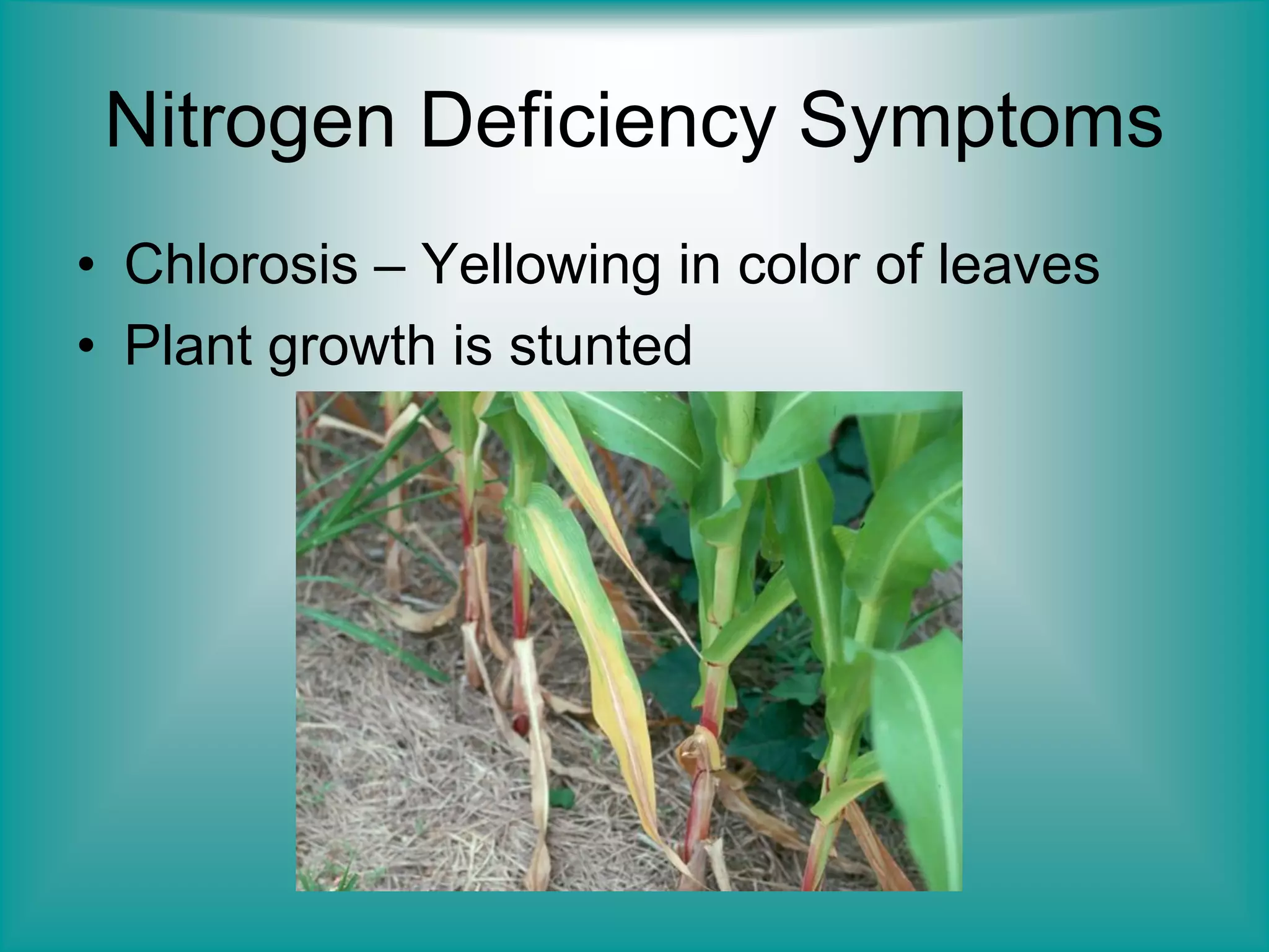 Soil nutrients | PPT