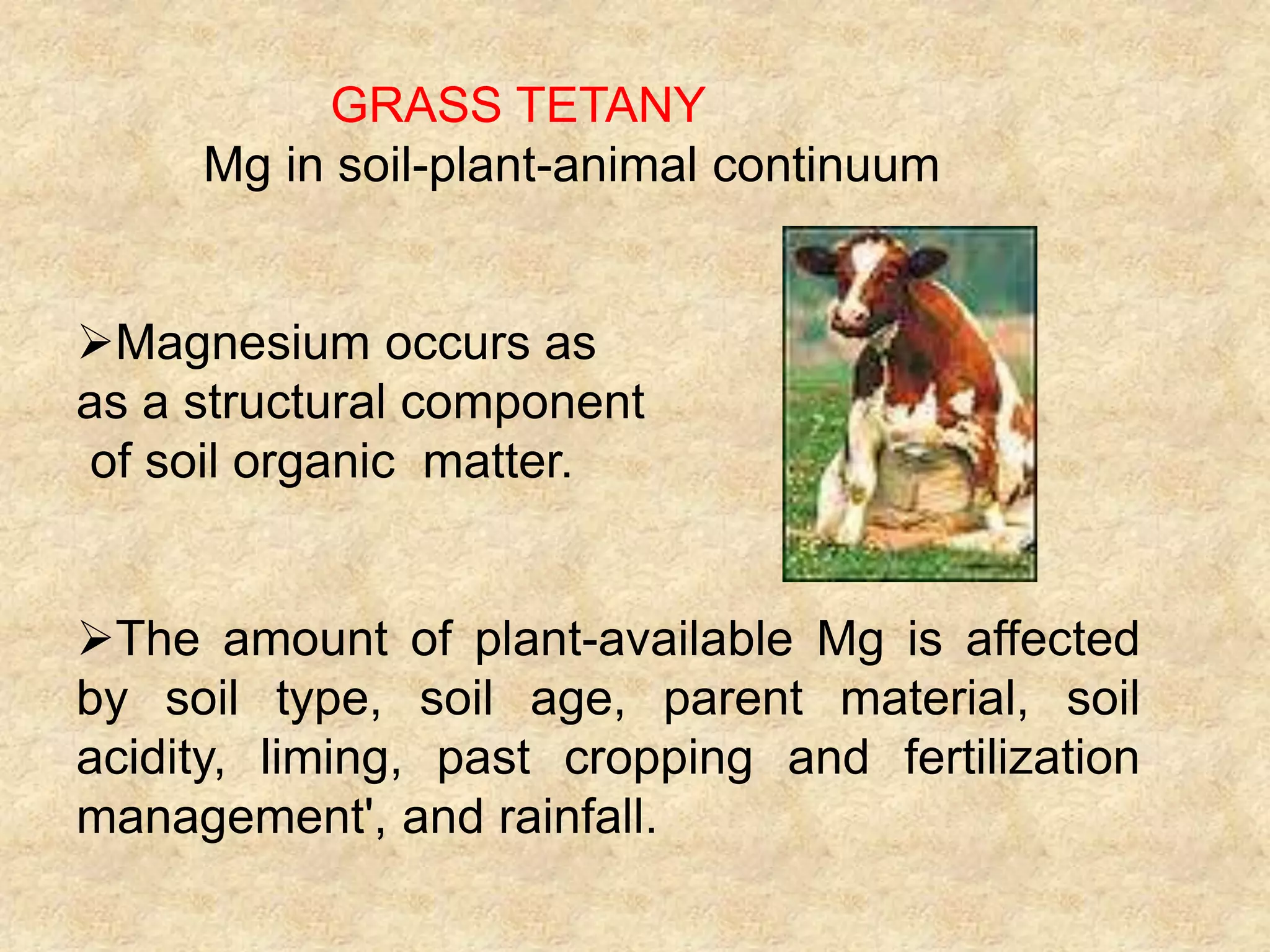 Soil plant-animal relationship | PPT