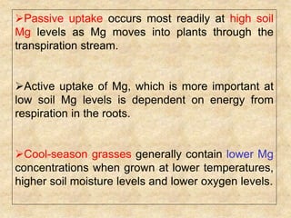 Soil plant-animal relationship | PPT