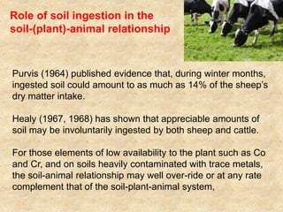 Soil plant-animal relationship | PPT