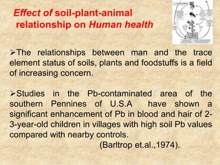 Soil plant-animal relationship | PPT