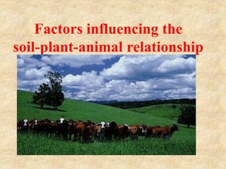 Soil plant-animal relationship | PPT