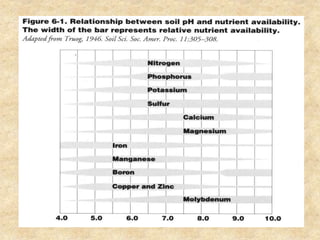 Soil plant-animal relationship | PPT