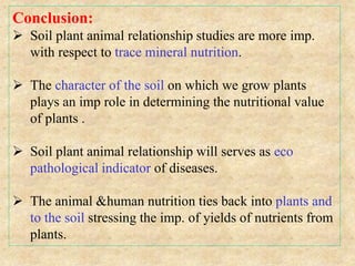 Soil plant-animal relationship | PPT