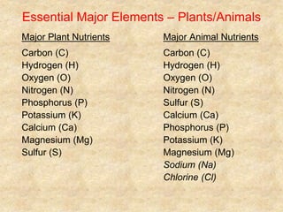 Soil plant-animal relationship | PPT