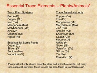 Soil plant-animal relationship | PPT
