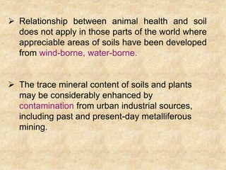 Soil plant-animal relationship | PPT