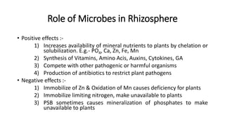Soil Plant-Microbe Interactions in Rhizosphere | PPTX