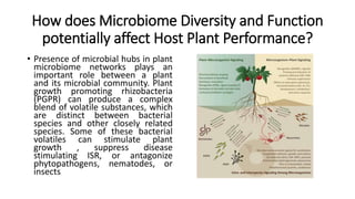 Soil Plant-Microbe Interactions in Rhizosphere | PPTX