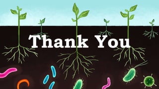 Soil Plant-Microbe Interactions in Rhizosphere | PPTX