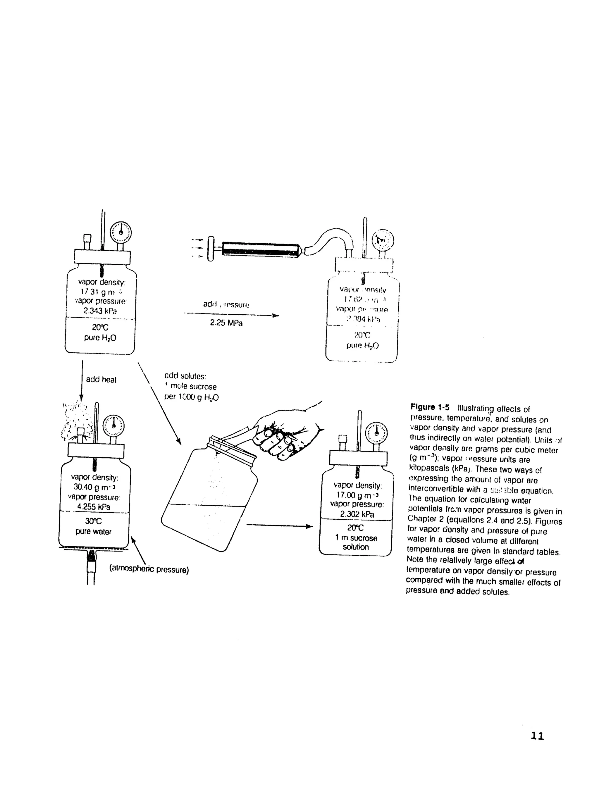 Soil-Plant-Water-Relationships-by-Mark-Behan--1992-.pdf
