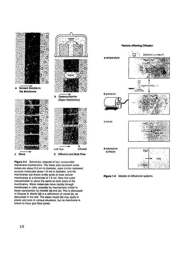 Soil-Plant-Water-Relationships-by-Mark-Behan--1992-.pdf