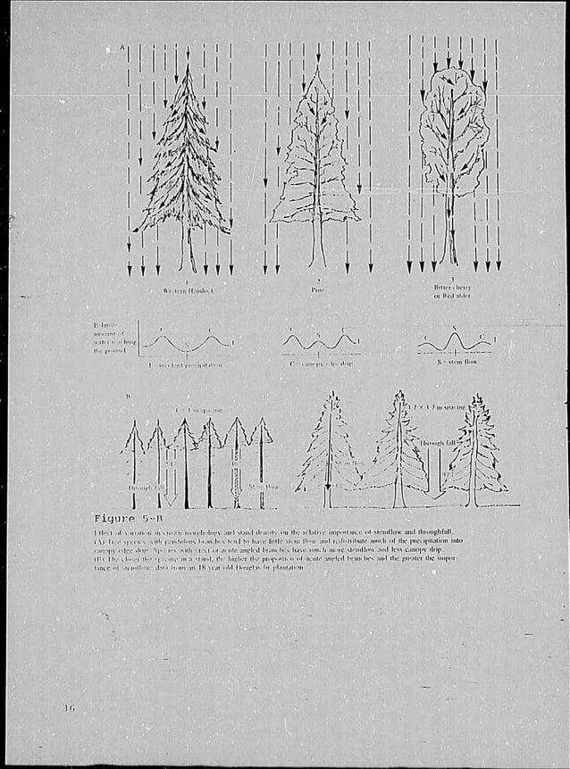 Soil-Plant-Water-Relationships-by-Mark-Behan--1992-.pdf