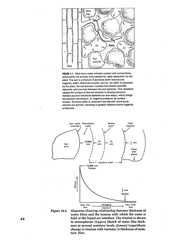 Soil-Plant-Water-Relationships-by-Mark-Behan--1992-.pdf