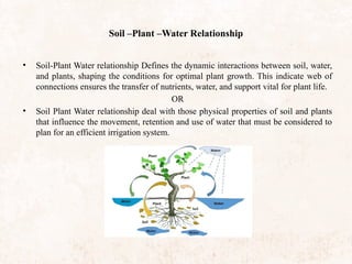 Soil-Plant-Water Relationship and their interaction with plant growth ...