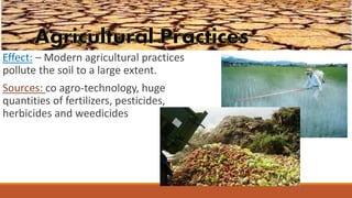 Soil Pollution | PPTX
