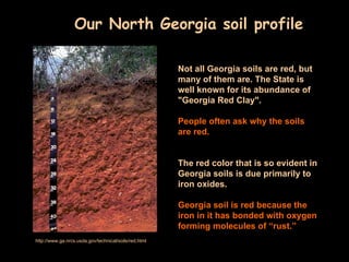 Soil Powerpt | PPT