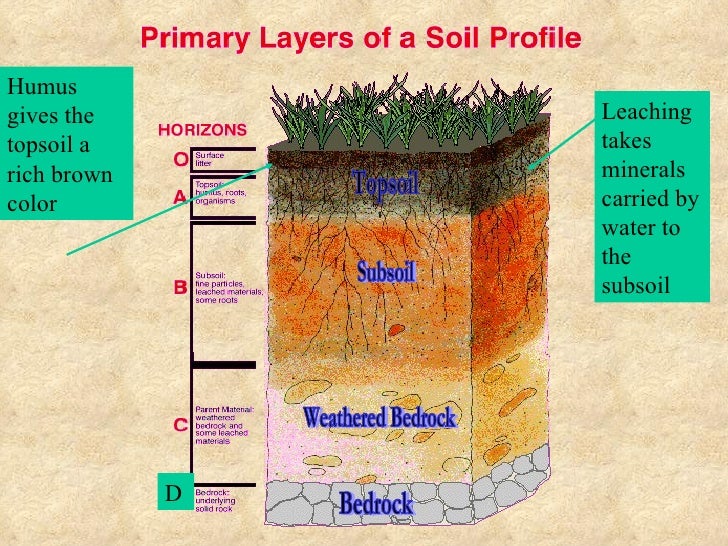 Soil.ppt level one