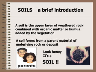 Soil Profile | PPT