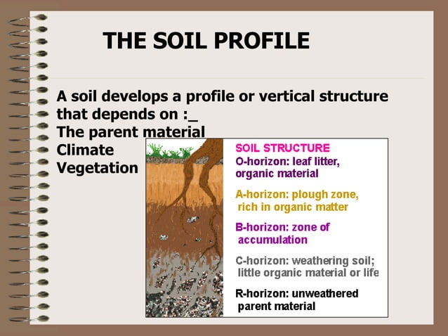 Soil Profile | PPT