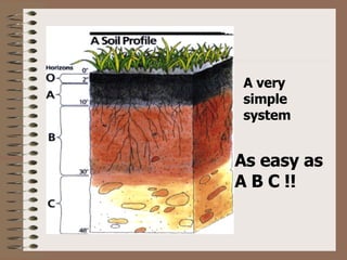 Simple Soil Profile